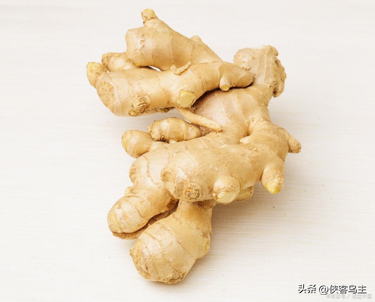 Cracking the proverb of health preservation: why "eating radish in ...