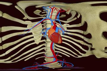 Can humans know when they are dead? Scientists: After the heart stops ...