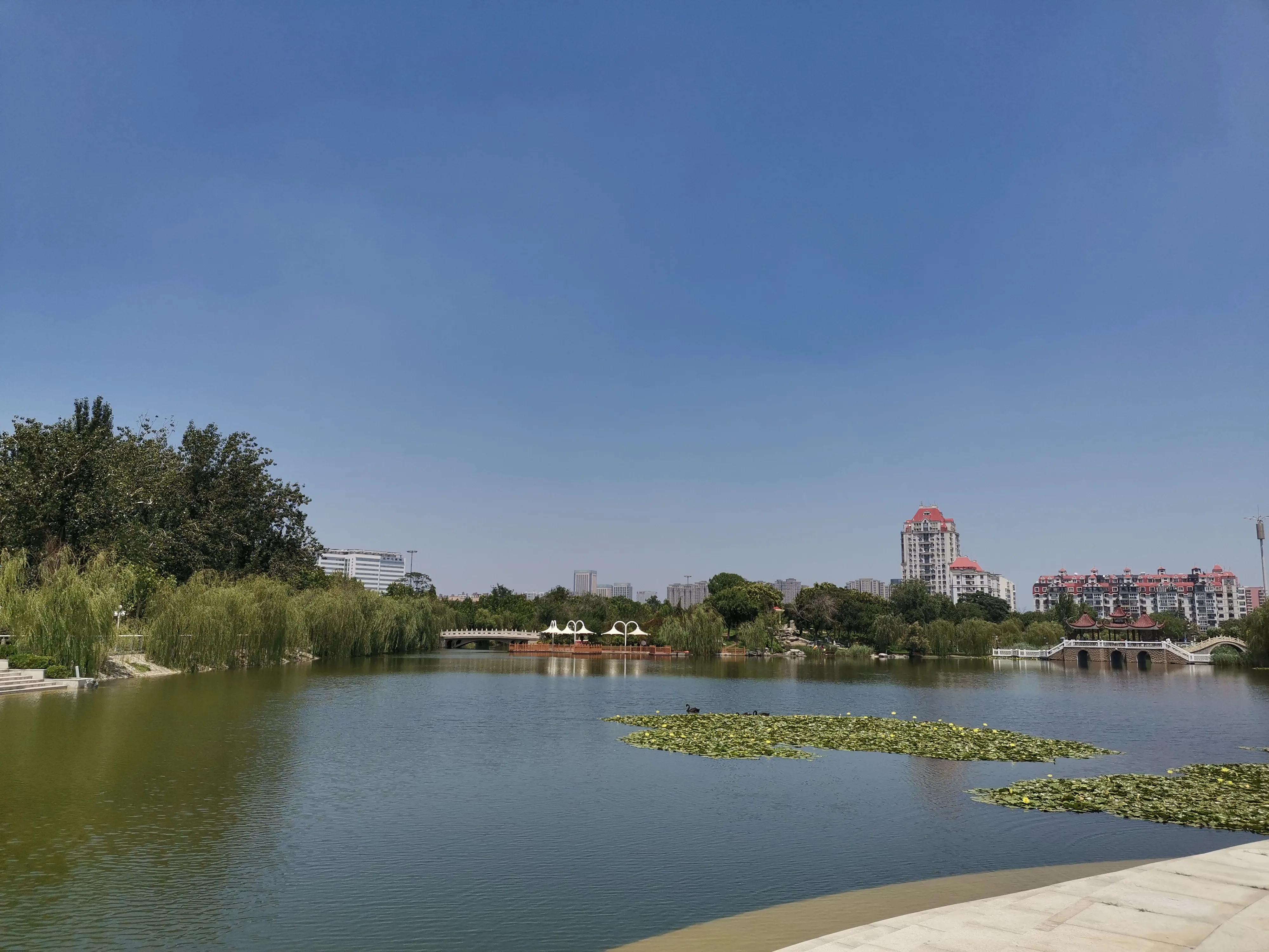 The pavilion on the bridge in this park in Tianjin, the scattered ...