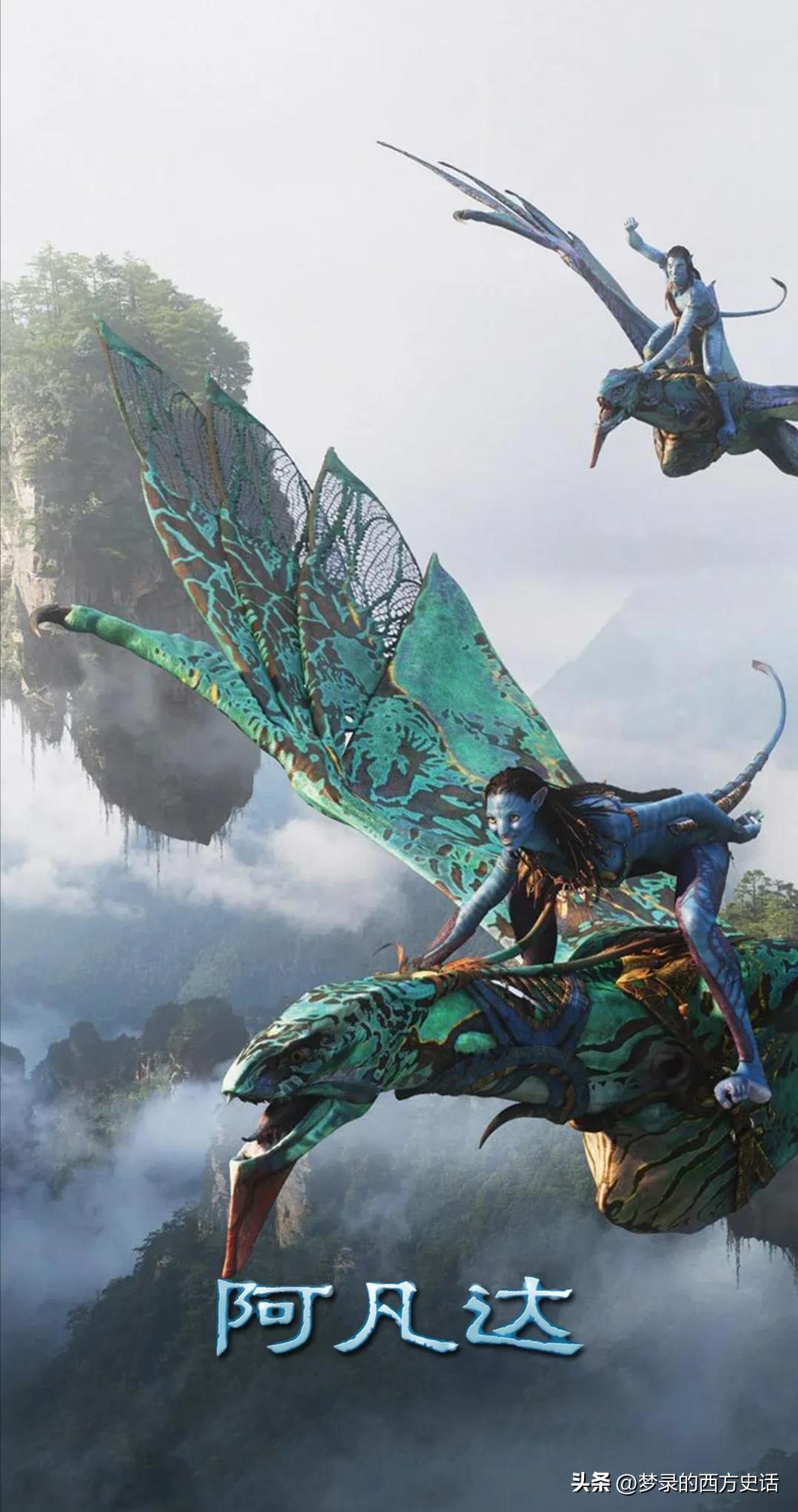 Explore the importance of environmental protection and human ...