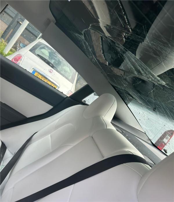 The roof of the Tesla Model 3 was hit by a thick tree and the result ...