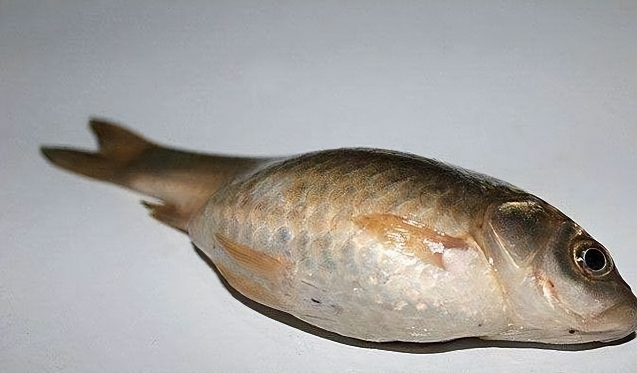 Disgusting! Huanggang woman slaughtered crucian carp and took out a ...