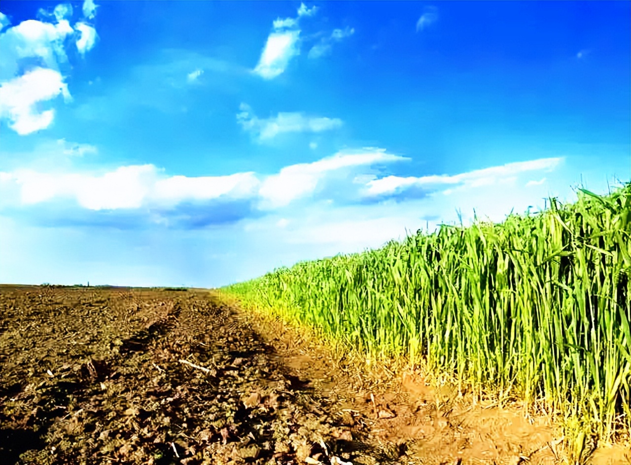 What was the land system of Qi State during the Warring States Period ...