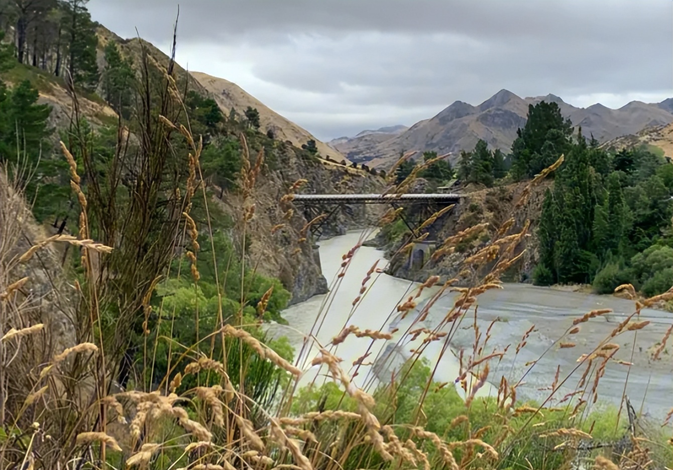Influence of Geographical Environment on Ecosystem in South Island of ...