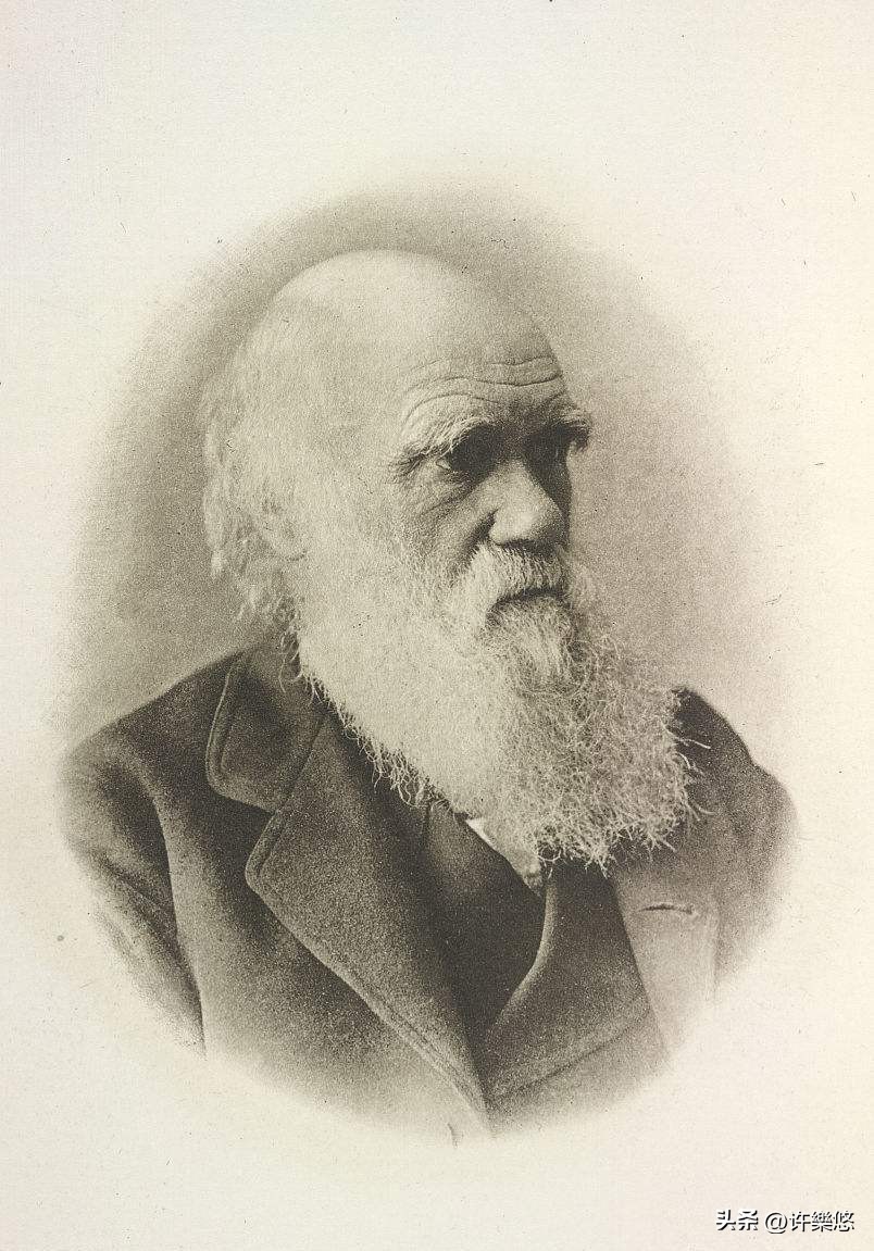 Exploring the Source of Life: Darwin's Origin of Species Takes You ...