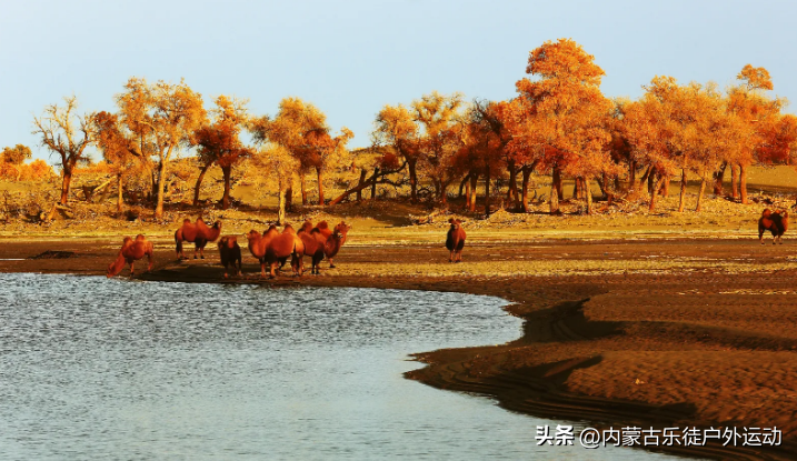 Eight attractions worth visiting in "Alxa League", Inner Mongolia ...