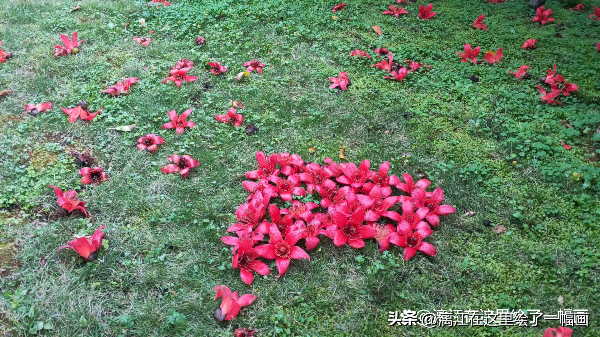 Dao Lang's new song "Raksha Haishi" is a talented singer burned by ...