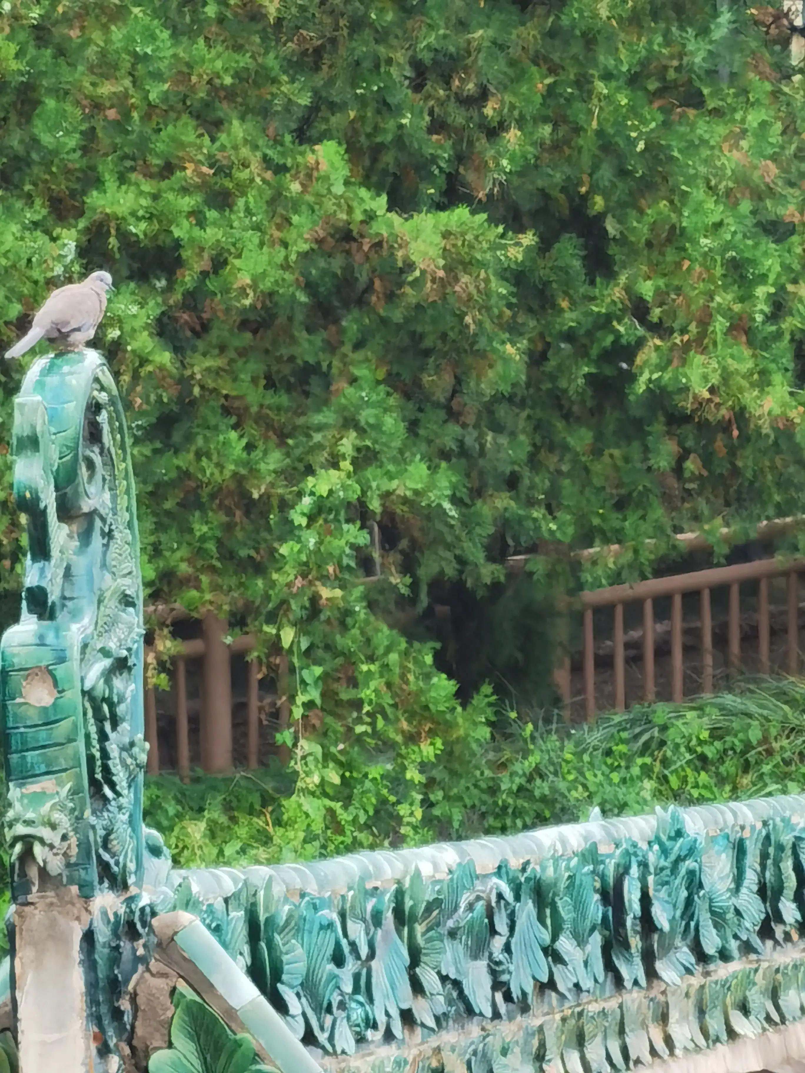 When you are old, you are old, and Lao Zhao is old Zhao. - iNEWS