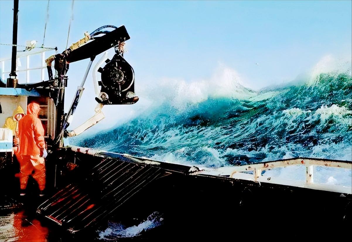 "King crab" invades Norwegian waters, with a body length of over 1.8 ...