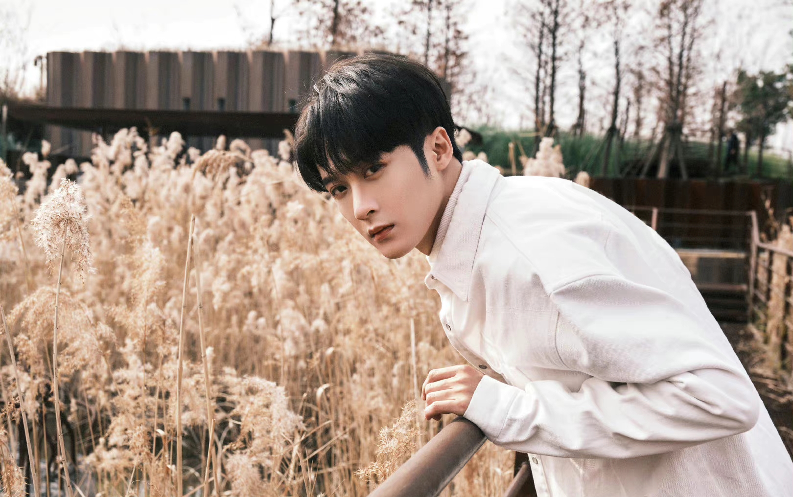 [Small Gossip] Luo Yunxi Song Yi Guan Xiaotong Liu Yifei Wang Hedi Tan Jianci Chen Feiyu - iMedia