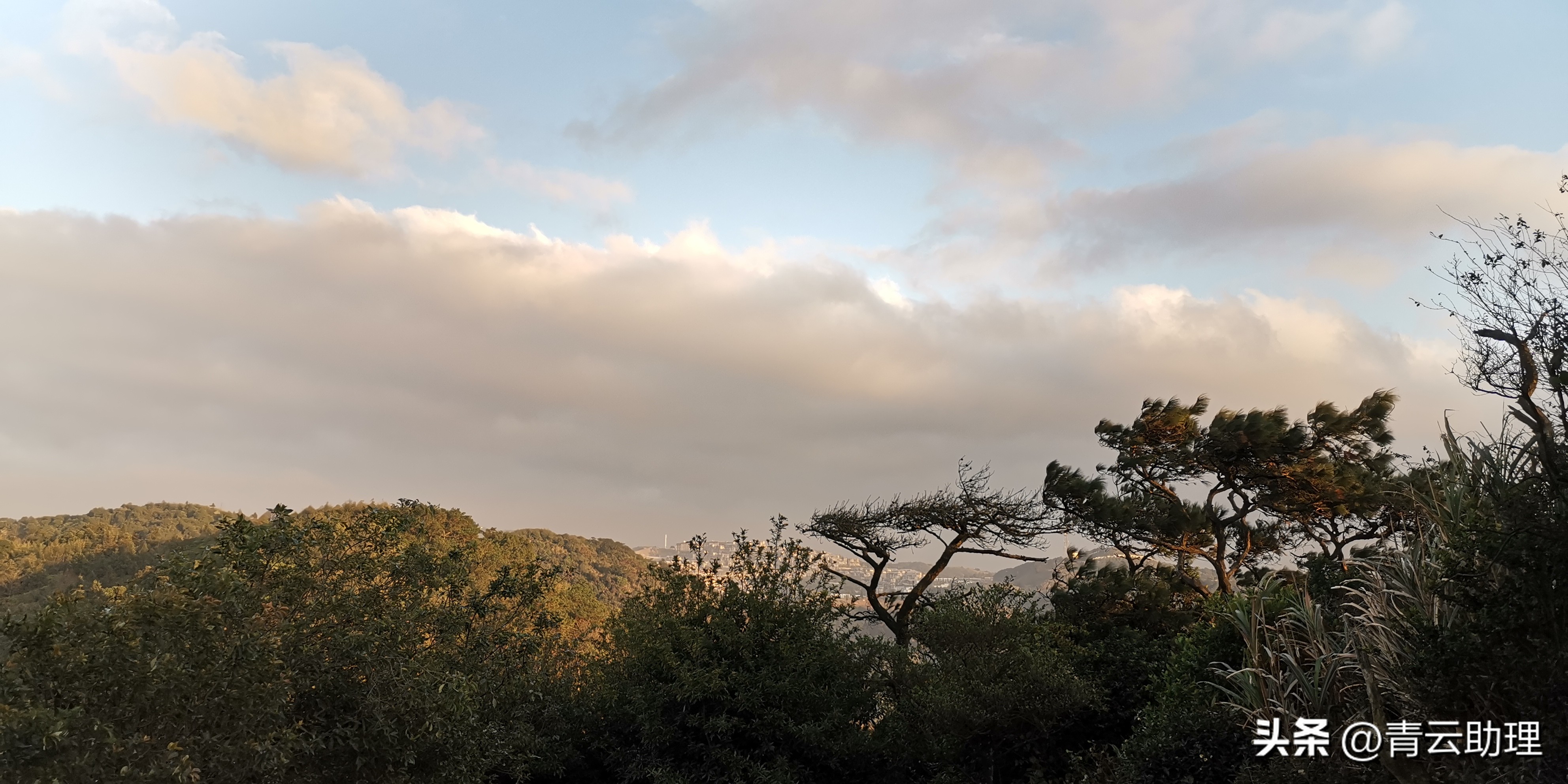 [Fuzhou Shanshui] Natural Oxygen Bar, a blessed place for slow life - iNEWS