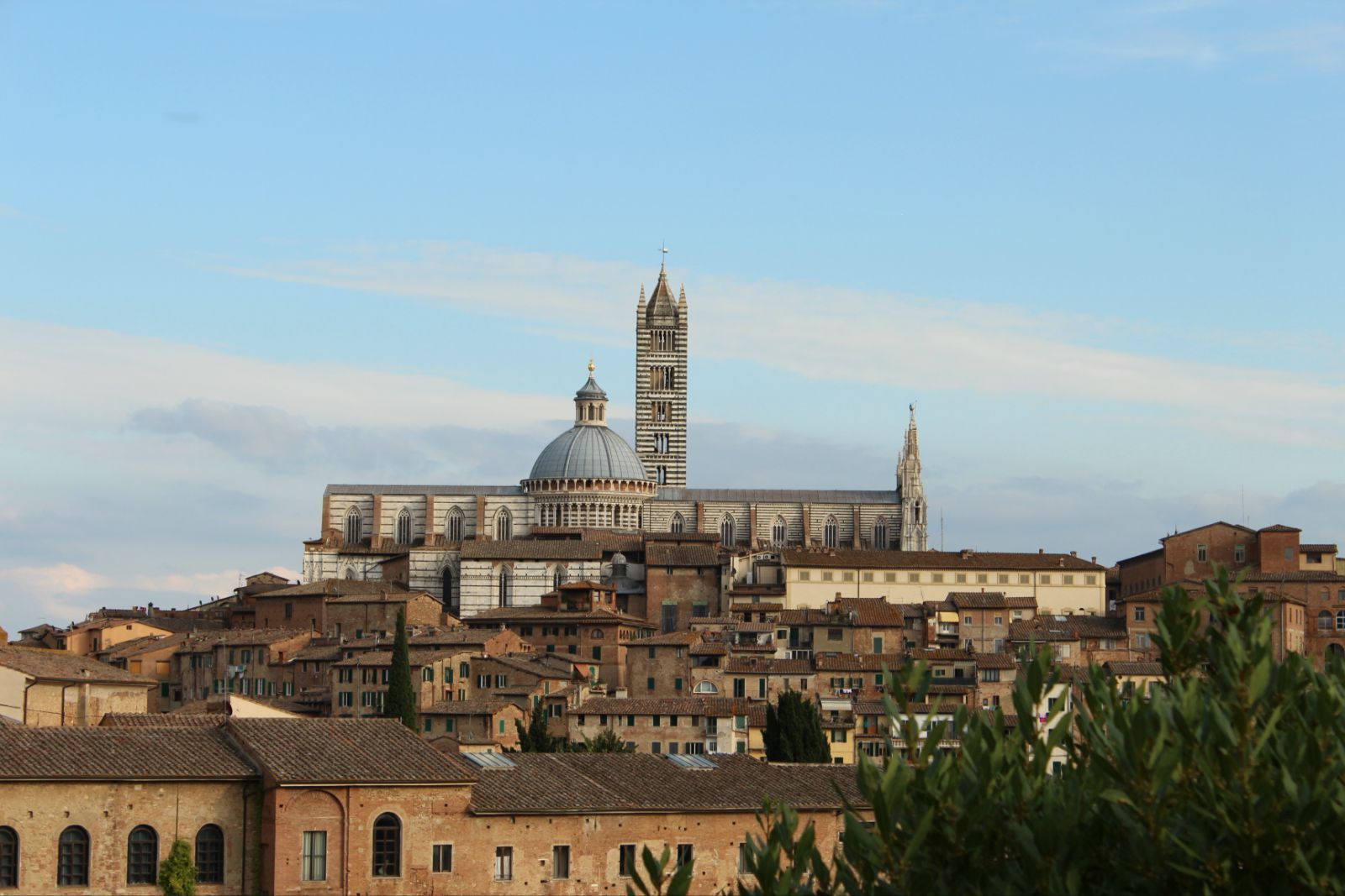What was the political environment in the city of Siena during the ...