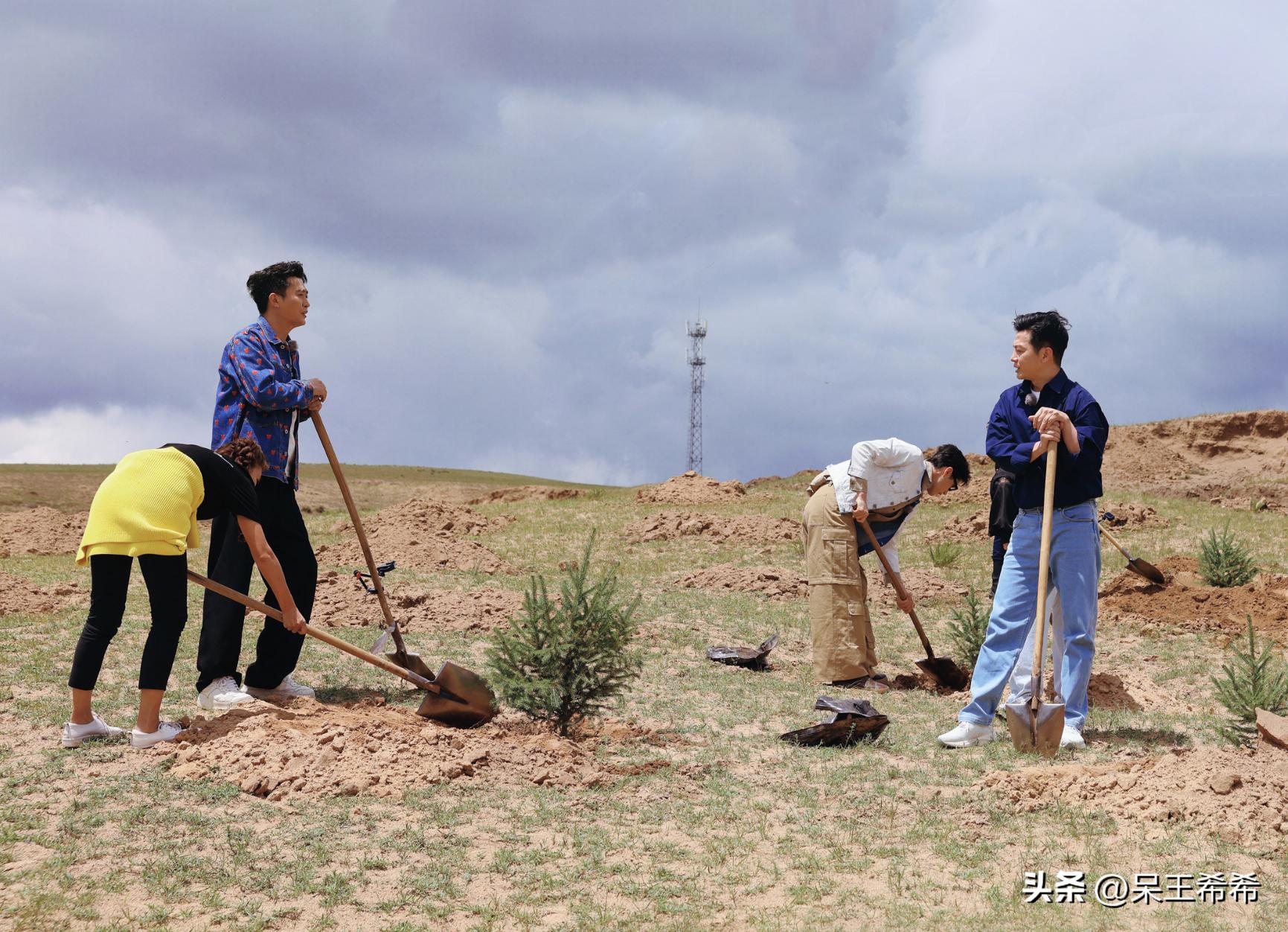 Why was CCTV host Yang Fan reused? - iNEWS