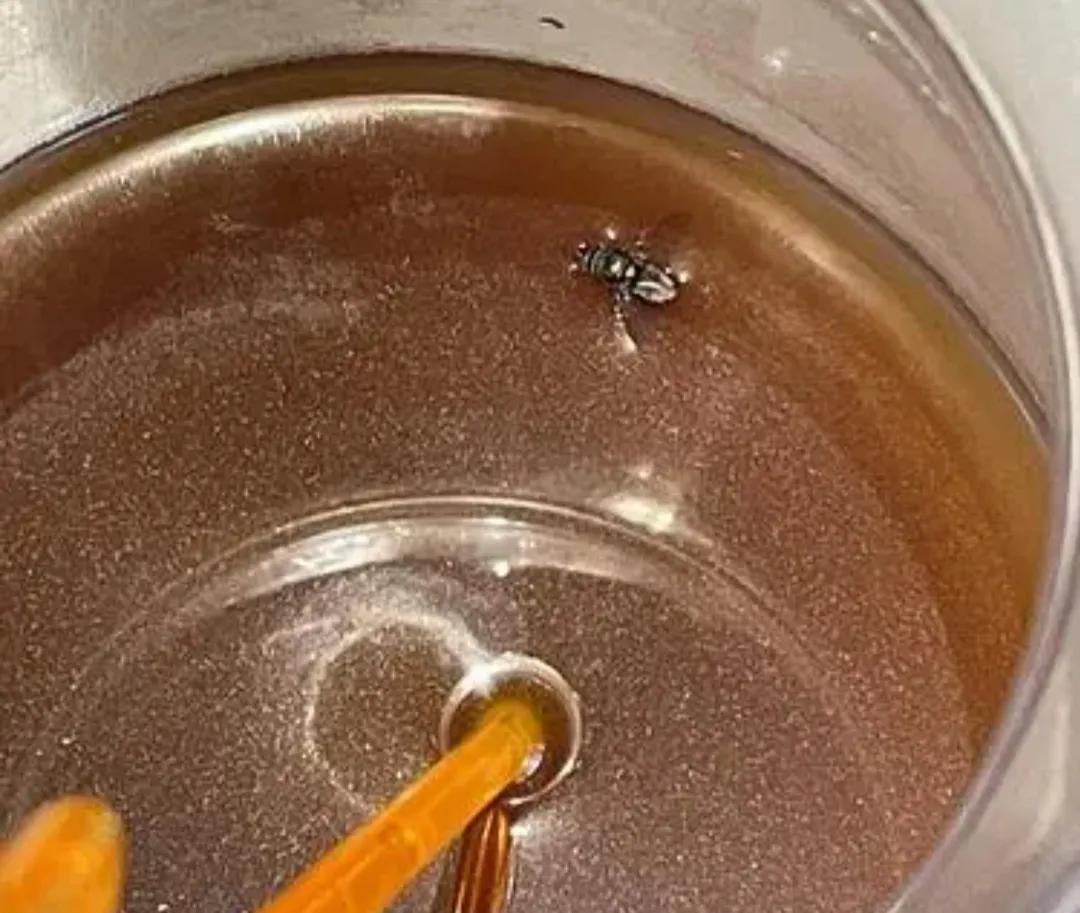 Superstring Theory Lecture 17: A Brief History of Quantum Mechanics - iNEWS