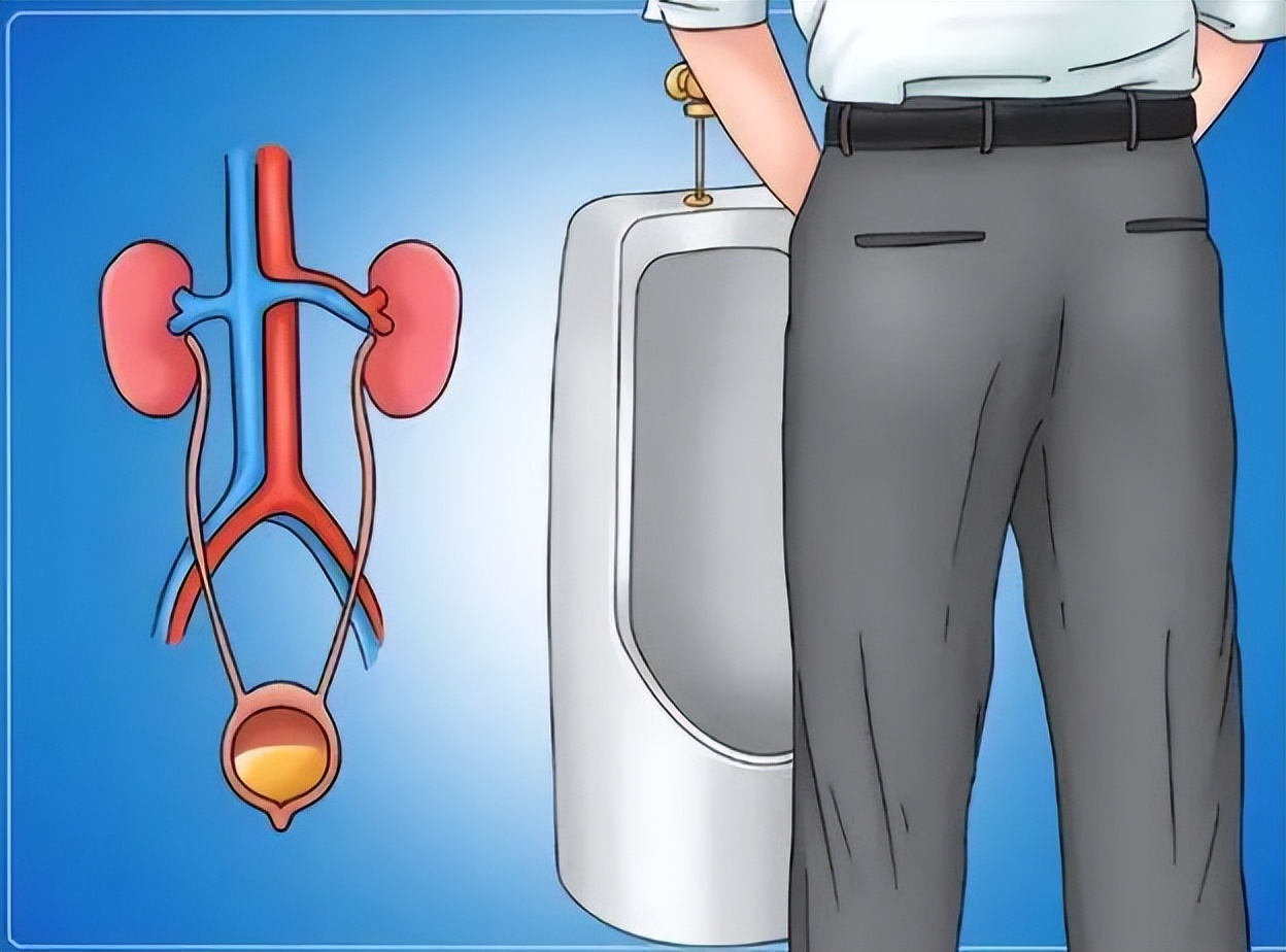 Who is healthier, the person who urinates all the time after drinking ...