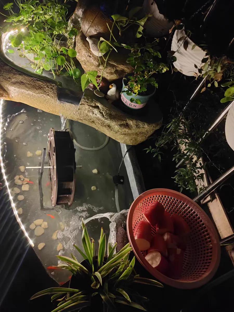 Build a flowing water landscape on the balcony, raise some fish species ...