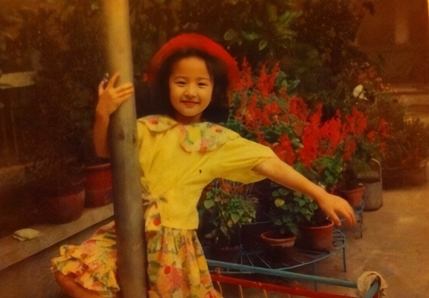 Make Liu Yifei popular and marry Feng girl Yang Caiyu: Chen Jinfei will ...