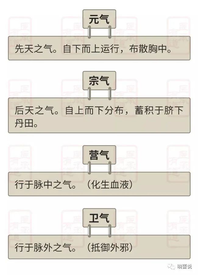 Nourish Yang Qi for Luck - iNEWS