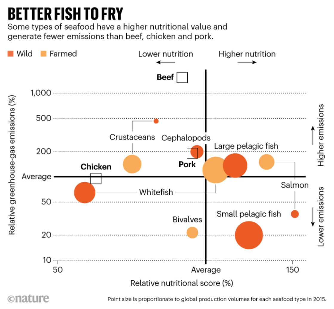 Scientists recommend that humans eat more farmed shellfish and fish ...