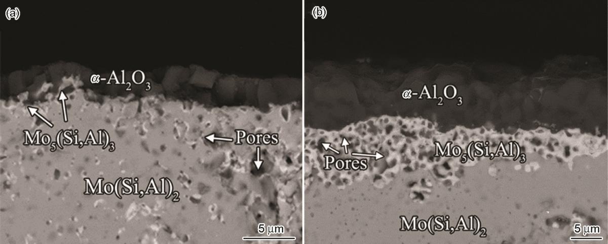 How Novel Powder Manufacturing Process of MCrAlY-Al Can Enable ...