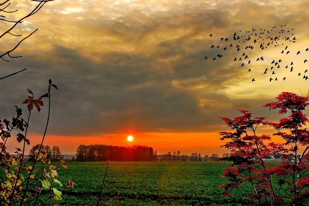 On August 8th, the beginning of autumn, this year's beginning of autumn ...