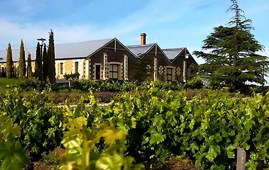 Australian Wine Region - Coonawarra - iNEWS