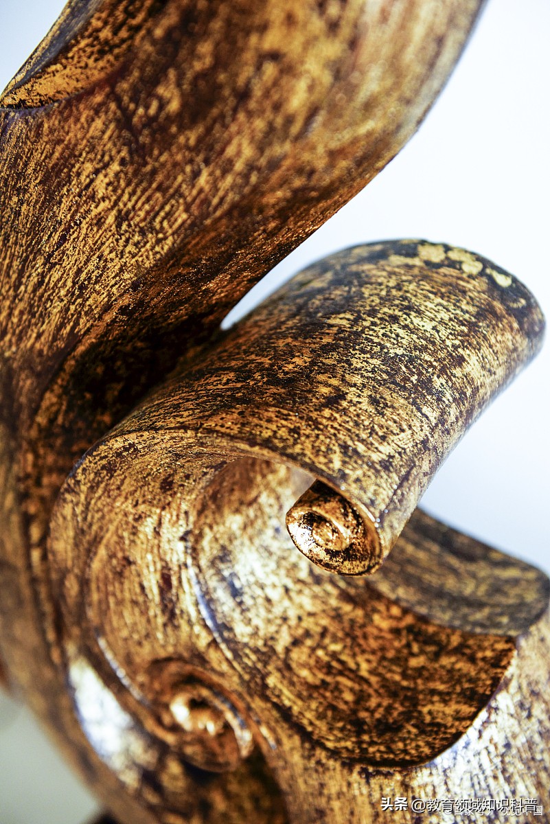 The top ten most precious famous trees, you will be lucky if you have ...