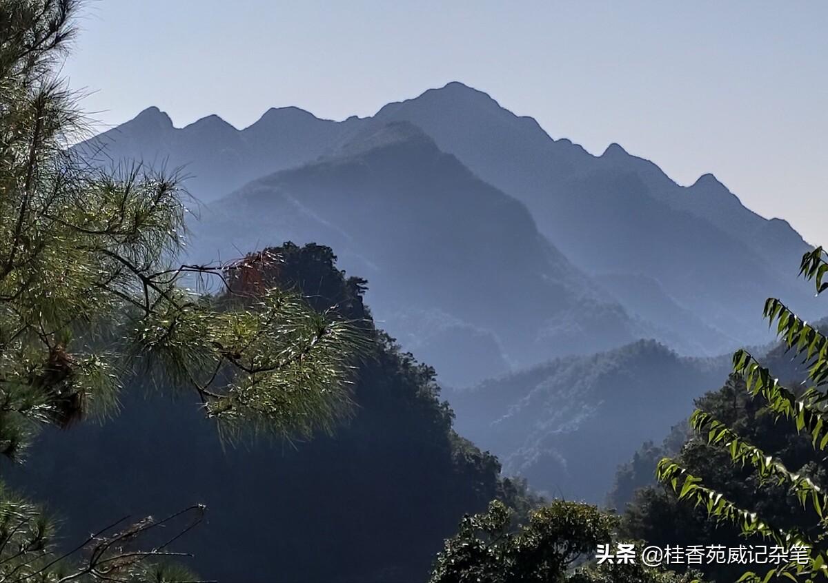 The Guiping Legend of Guangxi Humanities 14: If he does not die, the ...