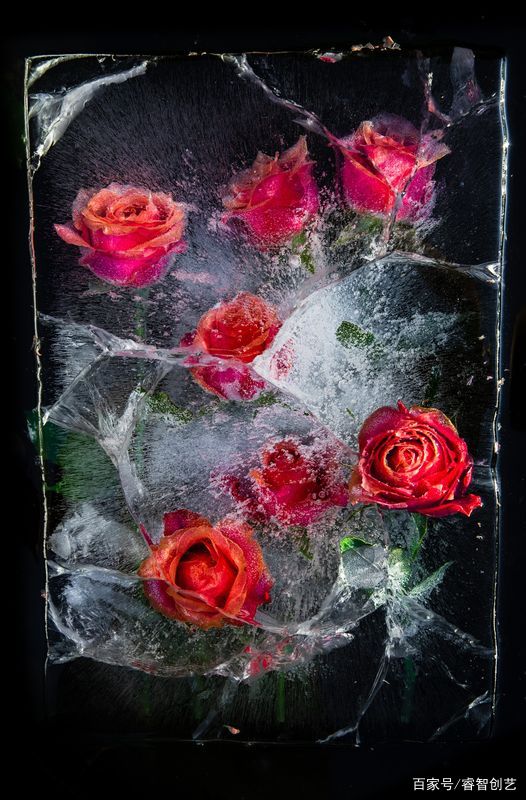 I don't like blooming, but I prefer frozen - Bruce Boyd took pictures ...