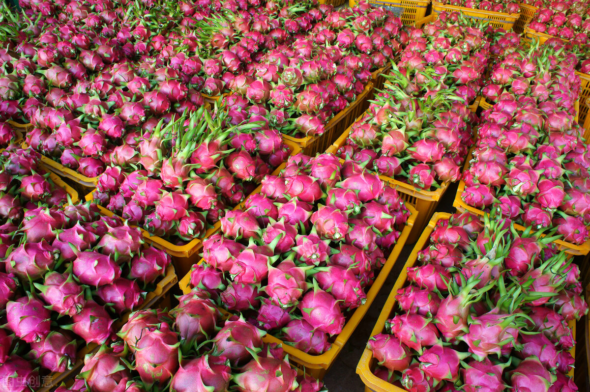 A reminder to the "crisis-ridden" Chinese dragon fruit - iNEWS