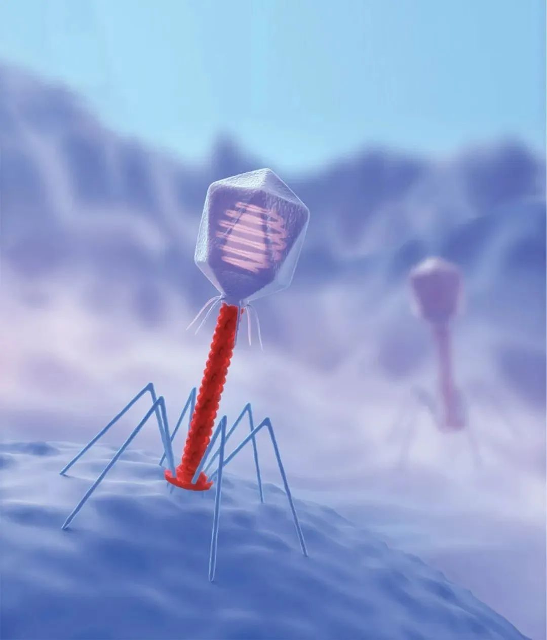 Phage & Epibiotics: New Blue Ocean of Pet Microecological Drugs, New ...