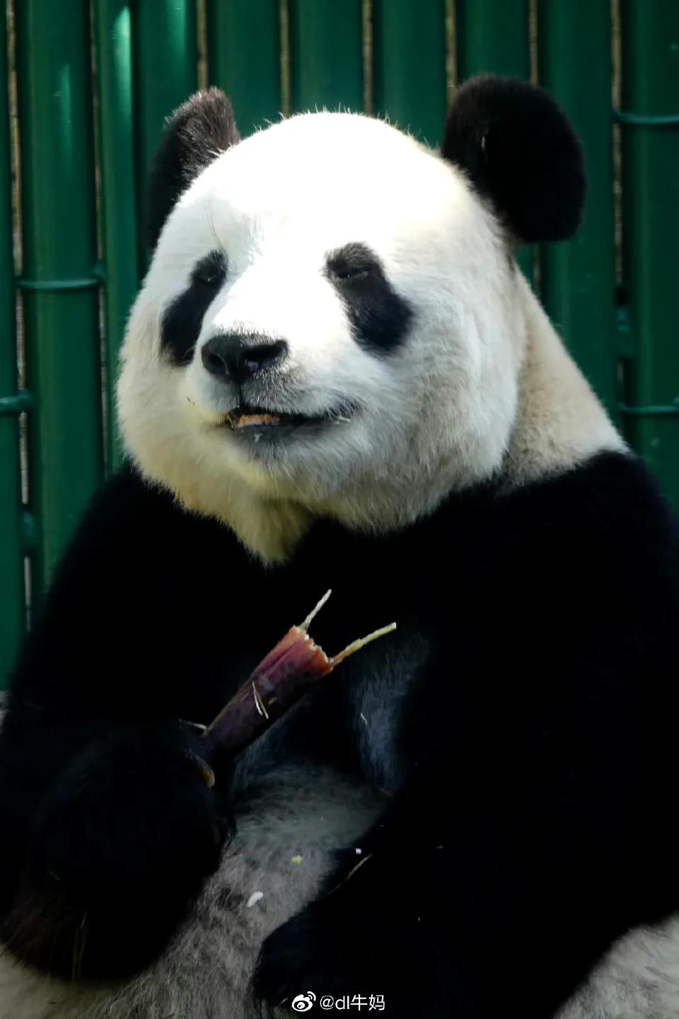 Let's take a look at Menglan's future princess Xiongxuan - iNEWS