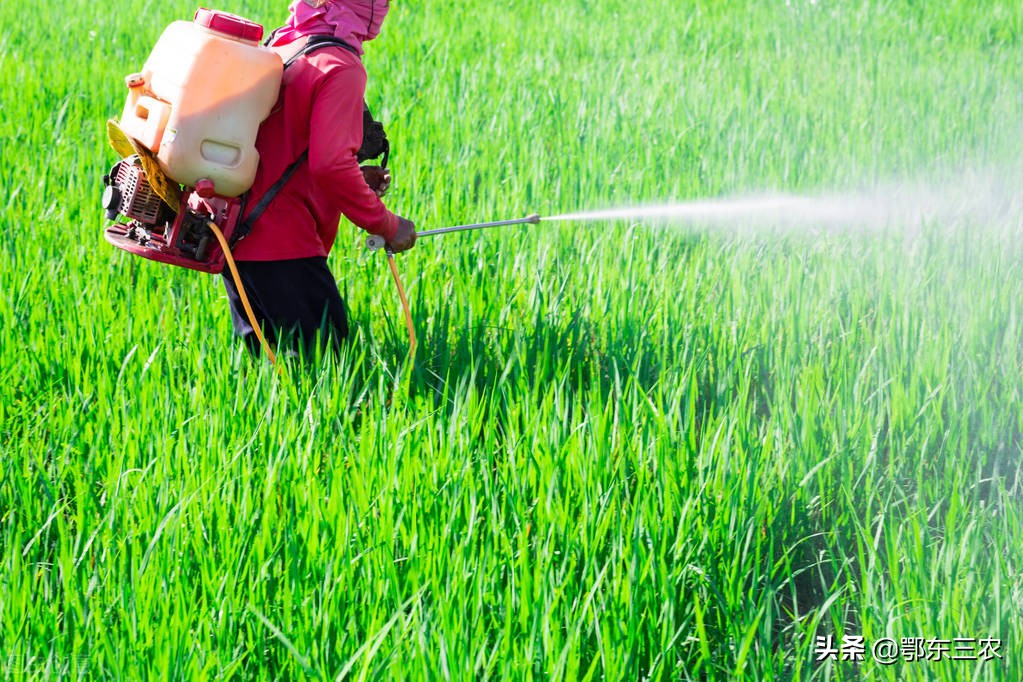 When farmers spray foliar fertilizers and pesticides, there are 6 ...