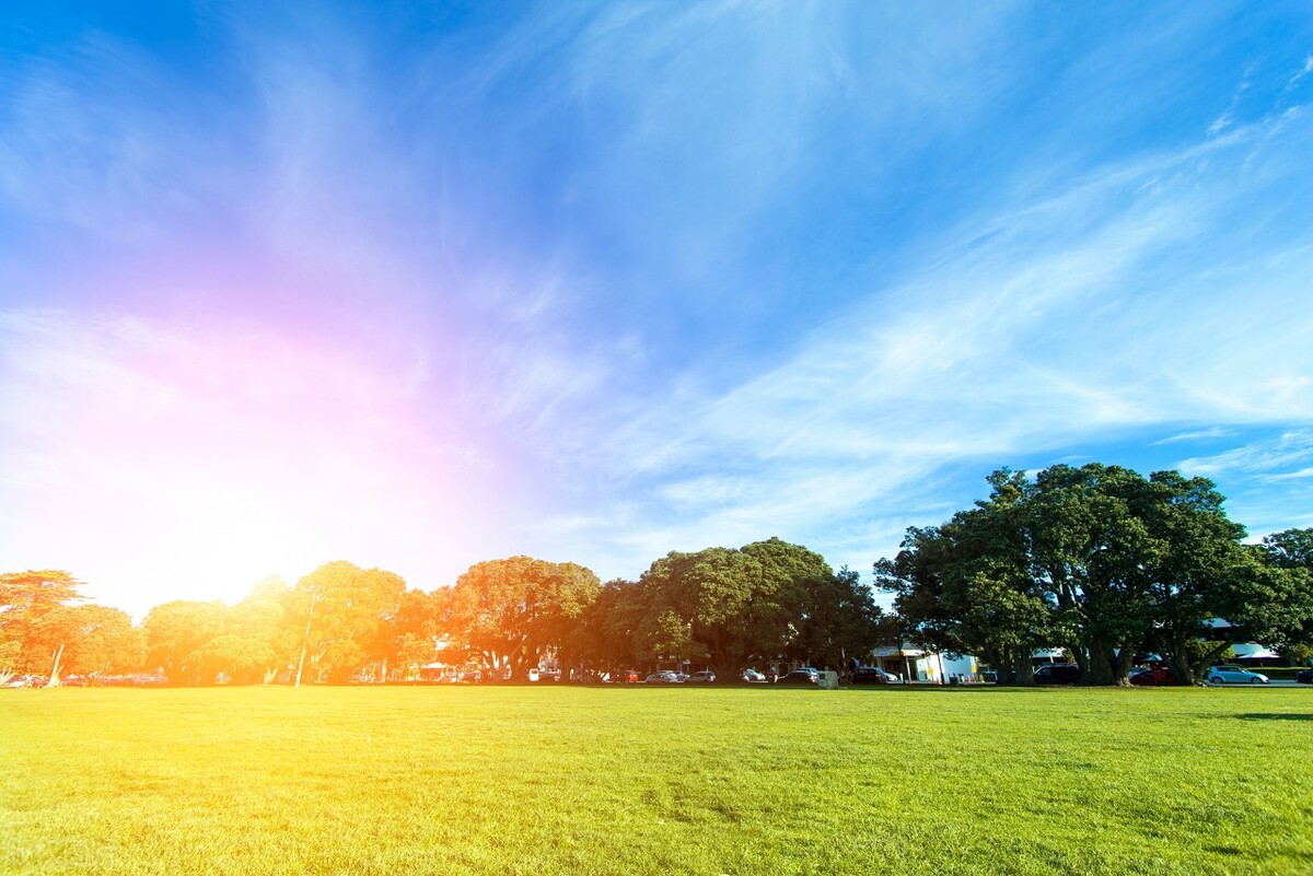 Spring is deep, write a collection of spring famous sentences - iMedia