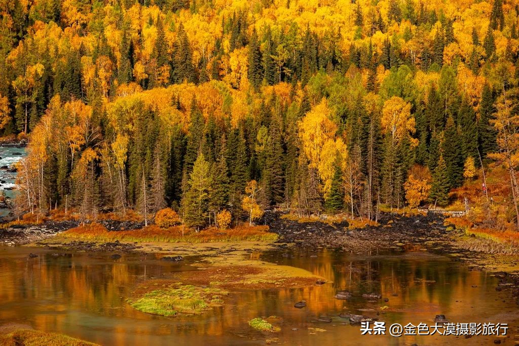 The most beautiful autumn in China, Kanas, Xinjiang, do you know the 5 ...