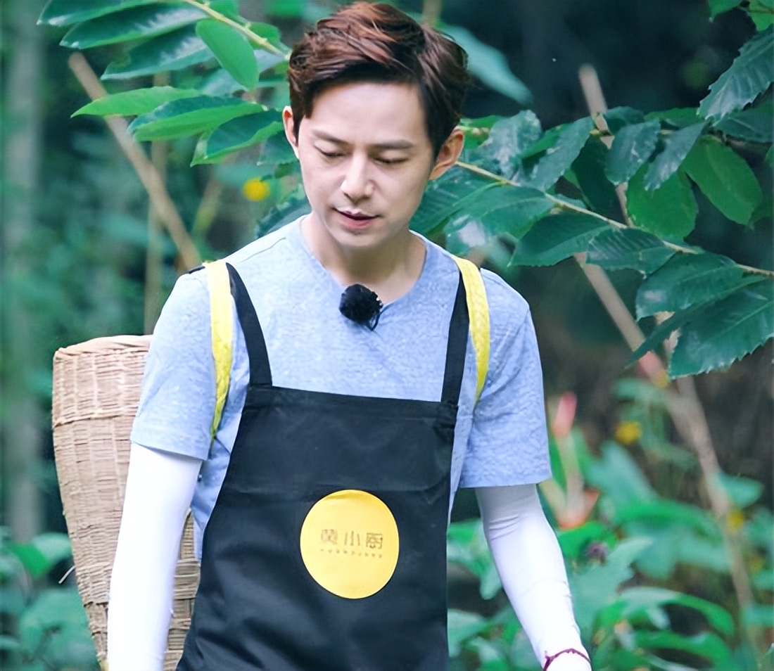 It was revealed that Li Weijia had an accident and was banned, the ...