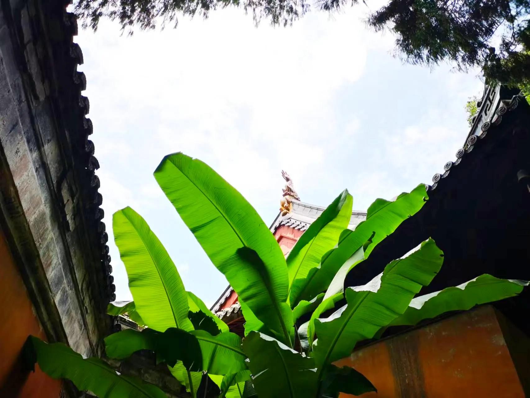 Tiantai Guoqing Temple - iNEWS