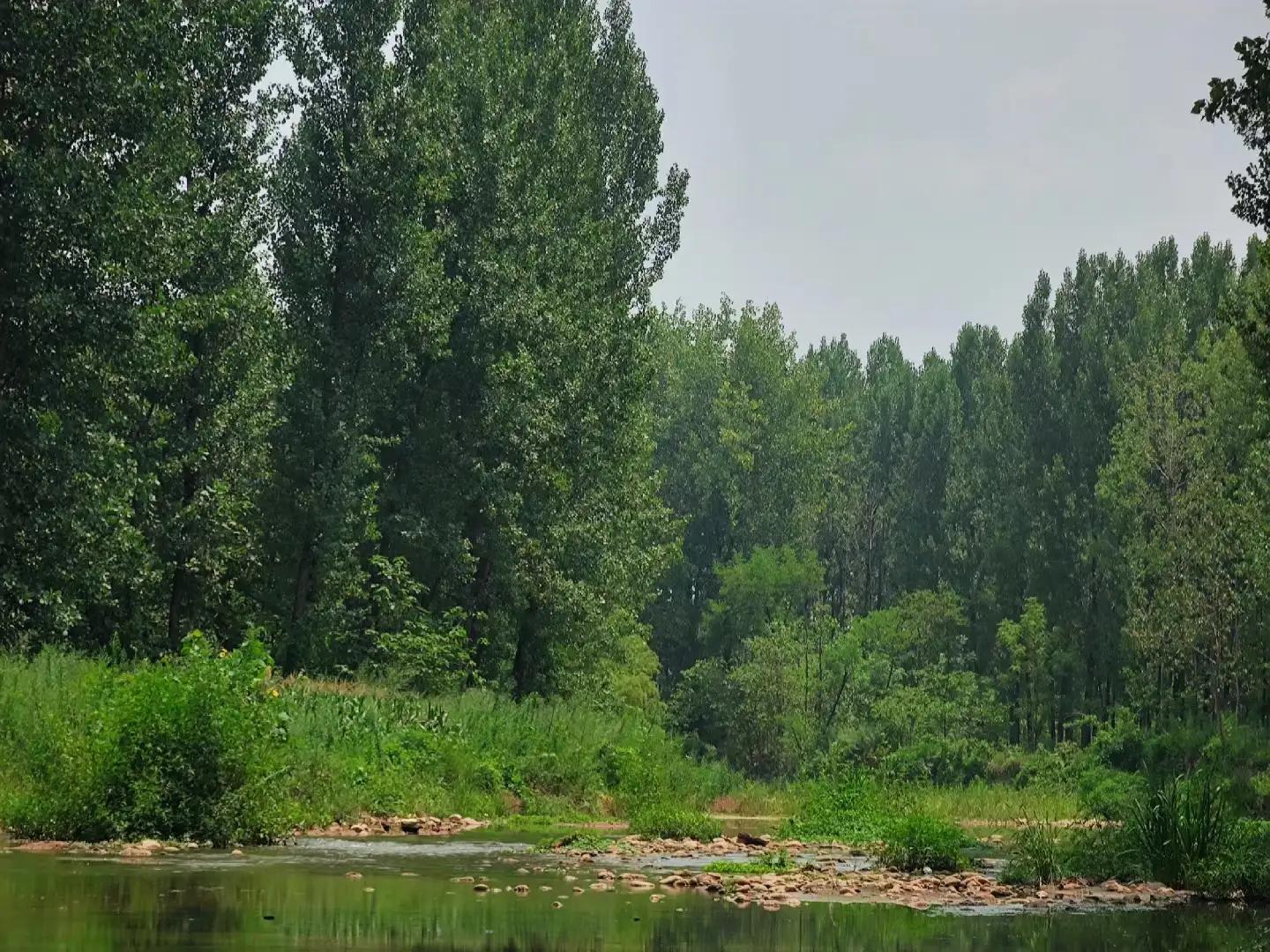 bad shackles - iNEWS