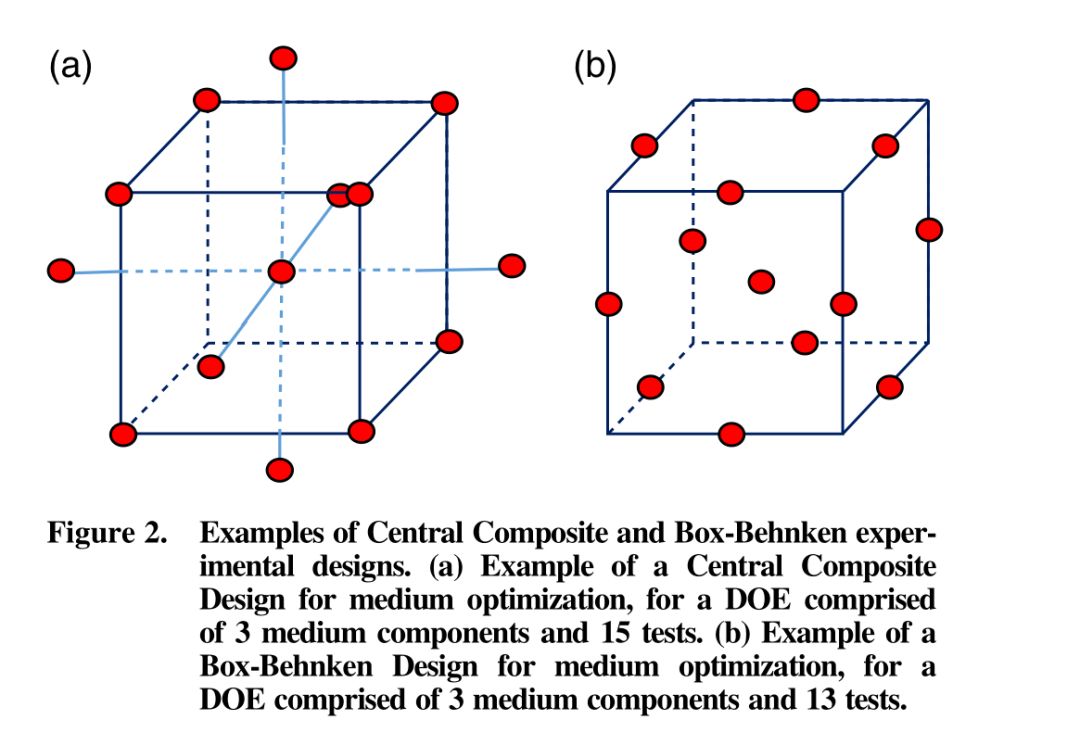 CHO Cell Media for Recombinant Protein Expression: History, Key ...