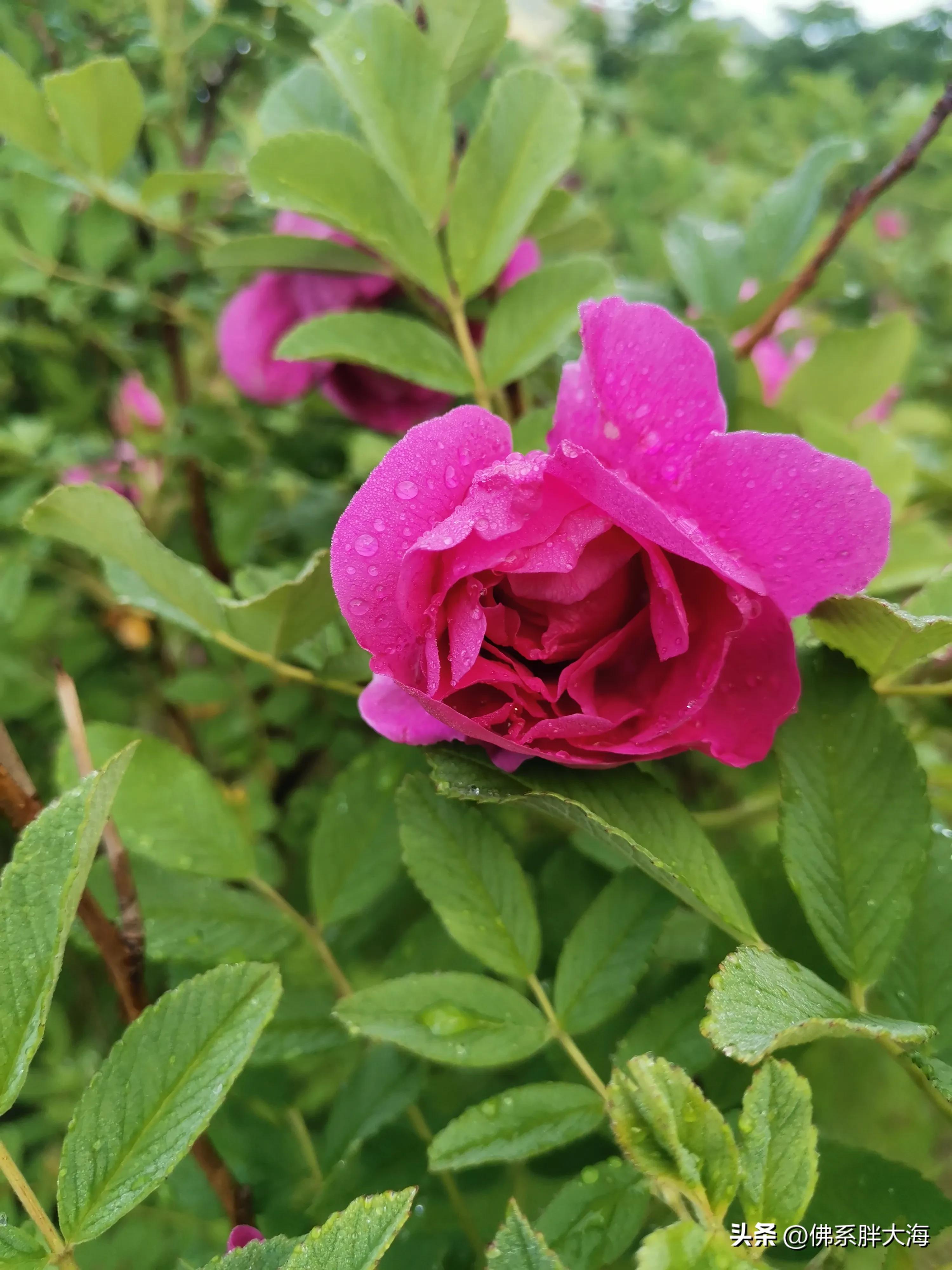 Wormhole Tablet: 30 of 74 Letters to Teenagers - The Charm of Knowledge ...