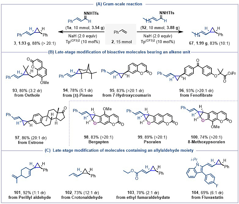 Alkenyl silver carbene derived from sulfonyl hydrazone is simple and ...