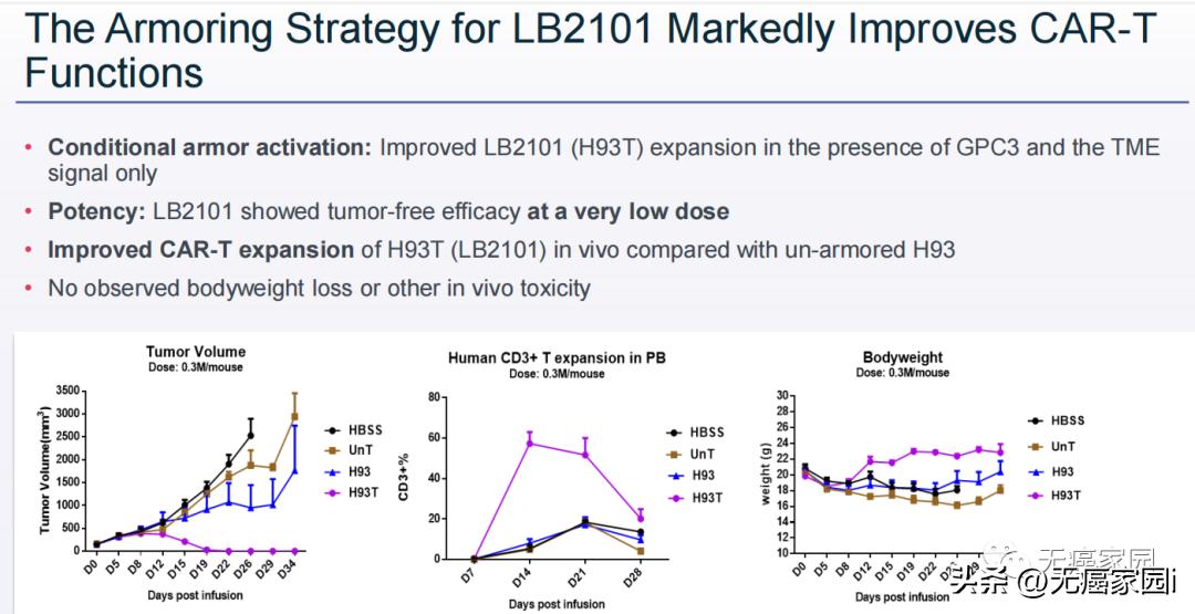 Two major therapies, CAR-T and CAR-NK, are rising rapidly!Directly ...