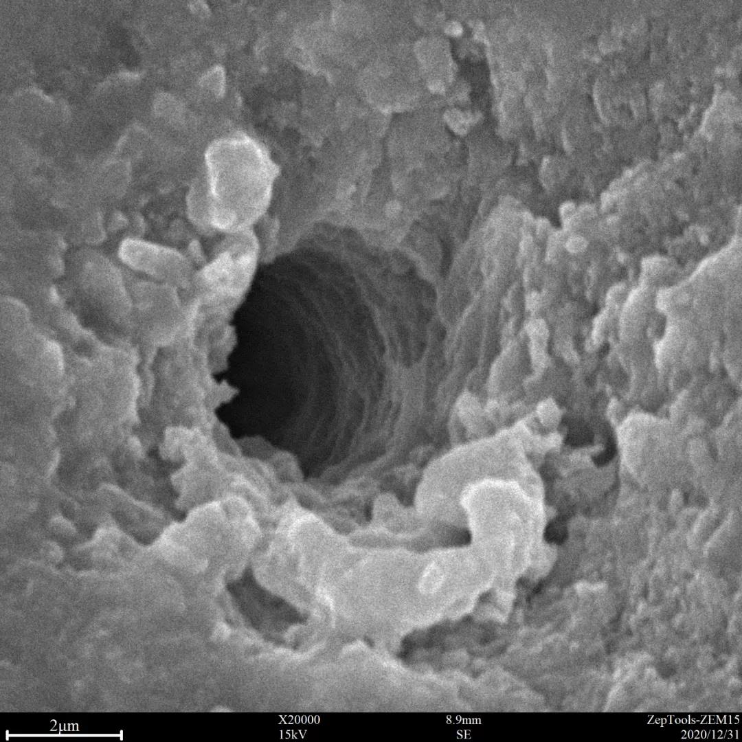 ZEM15 Desktop Scanning Electron Microscope Takes You to See the World ...