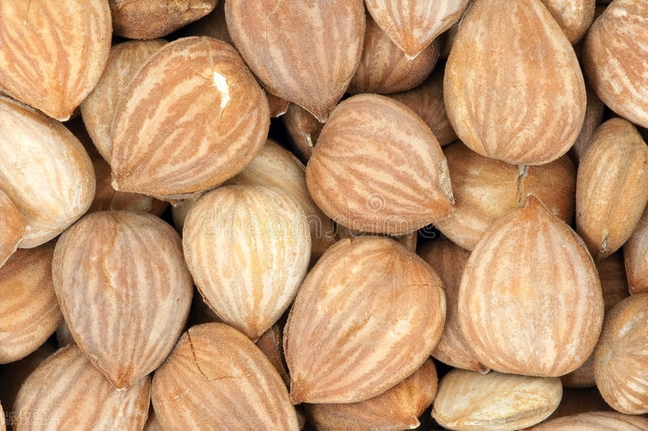 Peach kernels also have these effects, did you know? - iNEWS