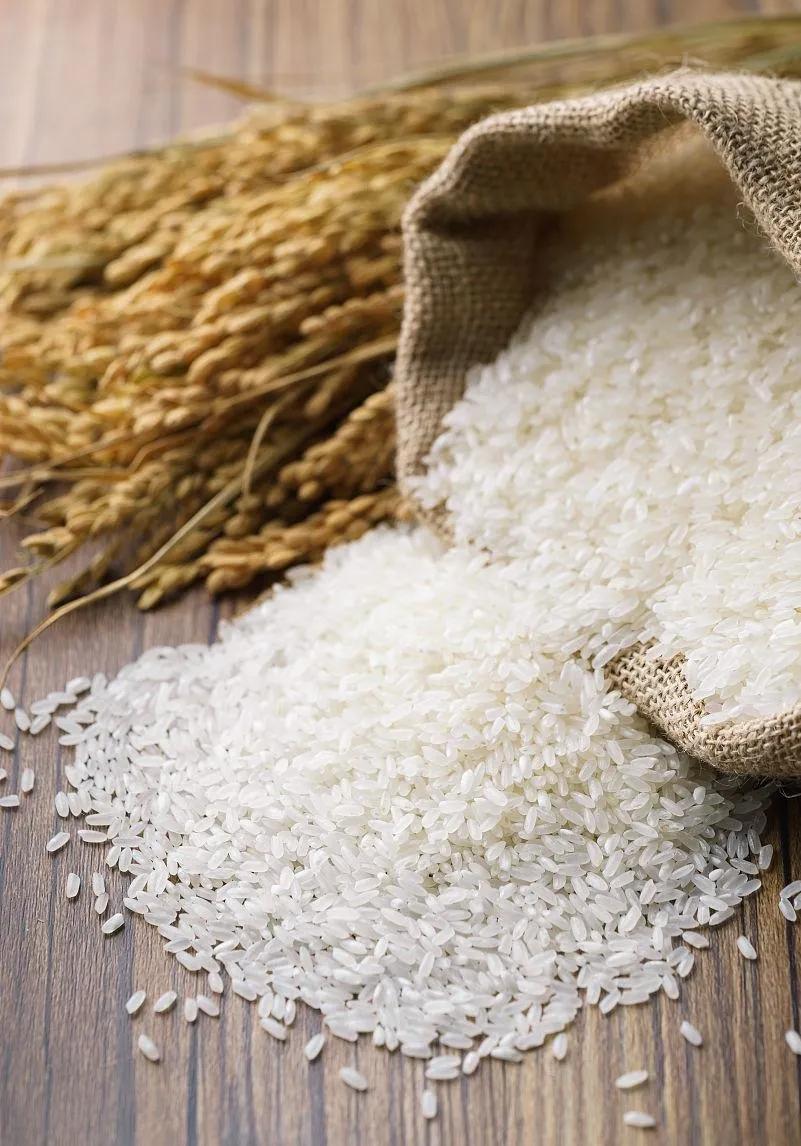Milling and blending of rice flour and rice products - iNEWS