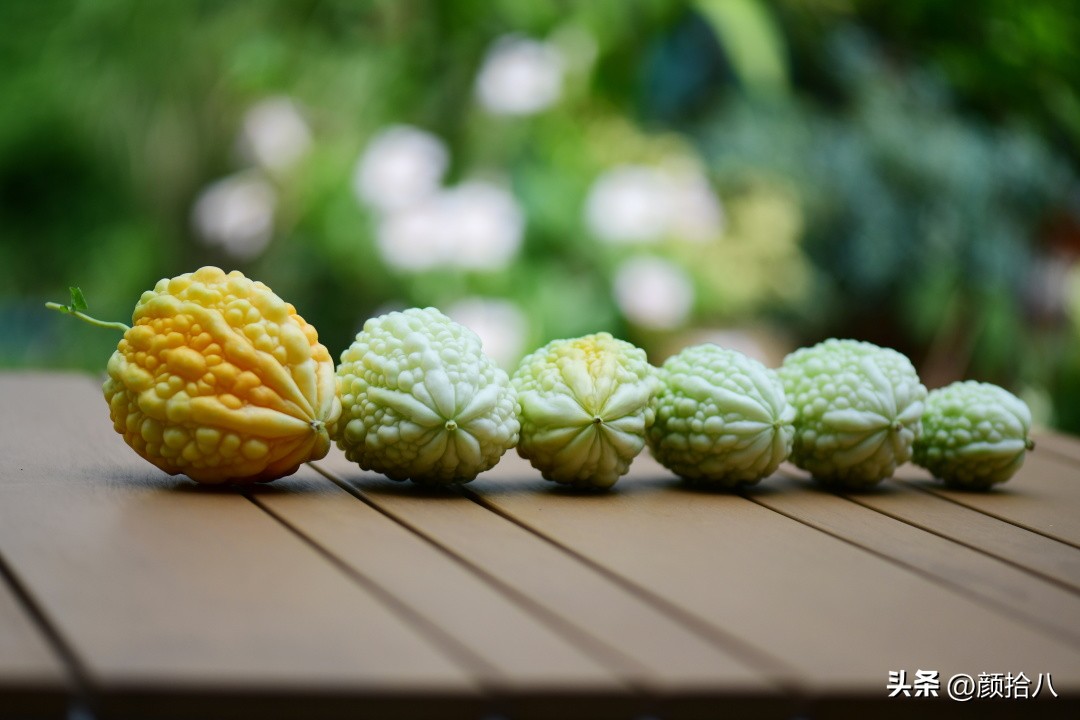 The first kind of white bitter gourd, I collected dozens of each, and ...