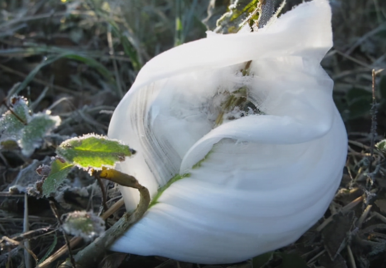 A rare "ice butterfly" appeared in Shanxi, which has been reported by ...