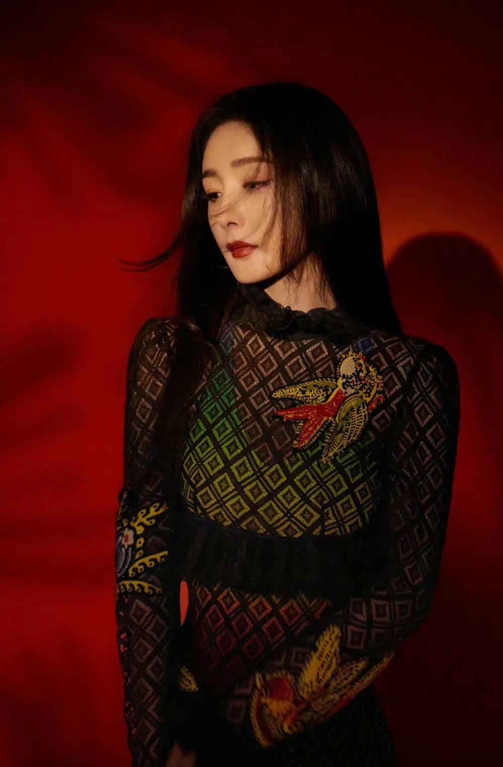 Wang Yibo, Jay Chou, Yang Mi, Bailu Zhang Linghe, Fu Xinbo - iMedia