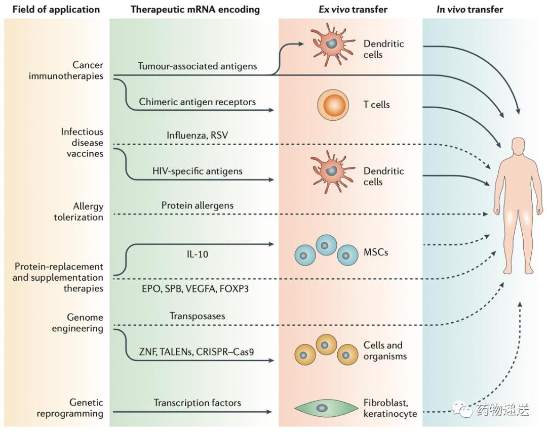 Explain the origin and patent disputes of LNP as a drug delivery ...