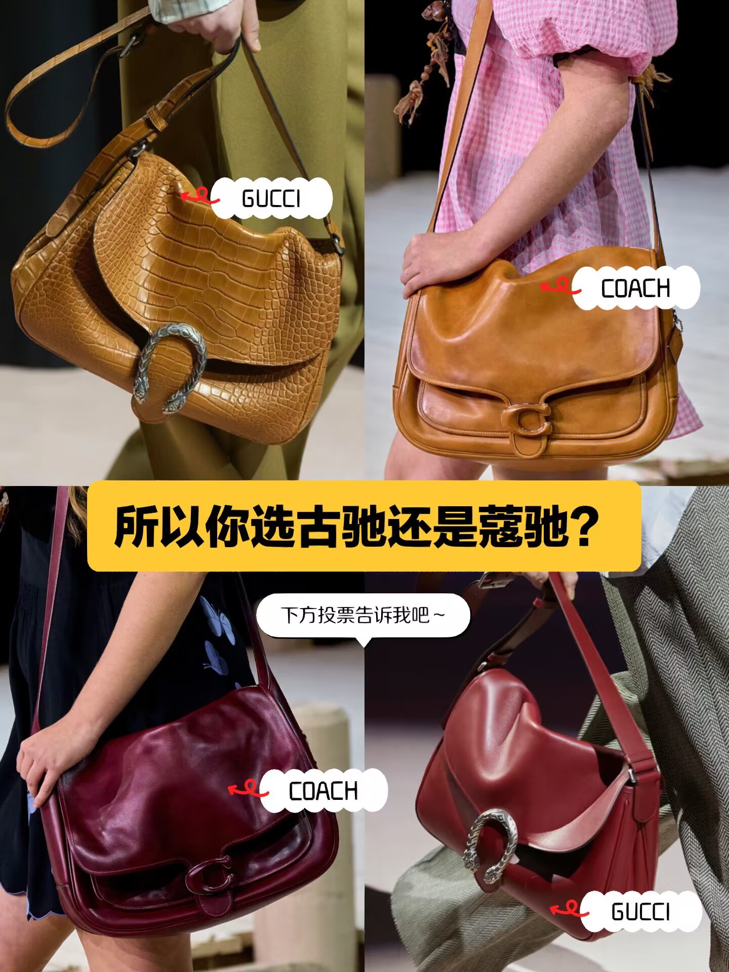 Gucci/Coach? I can't tell the difference~ you choose? - iNEWS